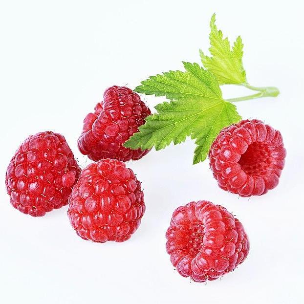 UniProtect-RBK / Raspberry Ketone Manufacturer and Supplier | Uniproma